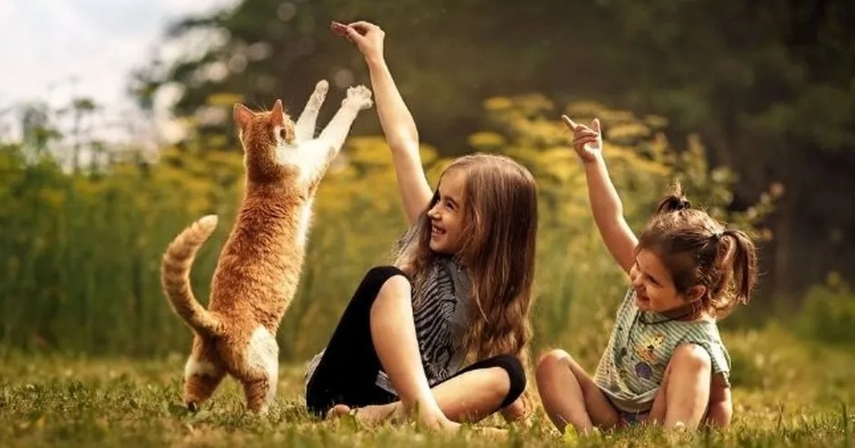Revela investigación que vivir con gatos no empeora el asma en los niños
